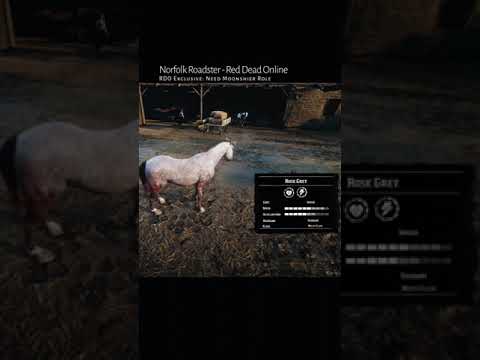 Steam Community :: Video :: RDO • All Norfolk Roadster Horse Colors and ...