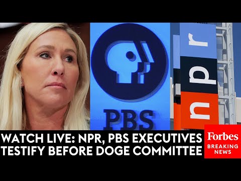 Video | WATCH LIVE: NPR, PBS Execs Testify Before DOGE Committee Led By ...
