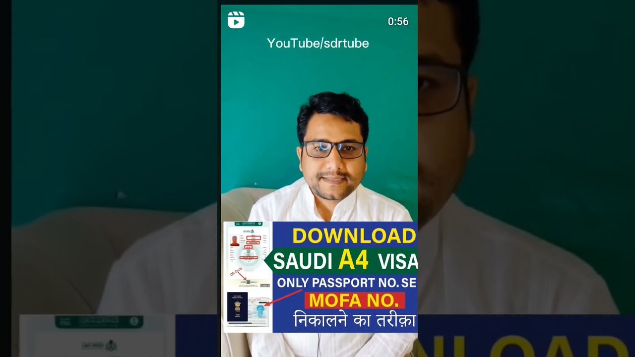 how to download visa PDF | download visa PDF