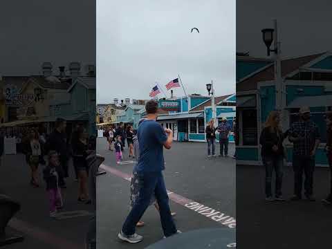 monterey fishermans wharf restraunt Abalonetti bar and grill
