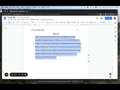 APA Essay Formatting Example