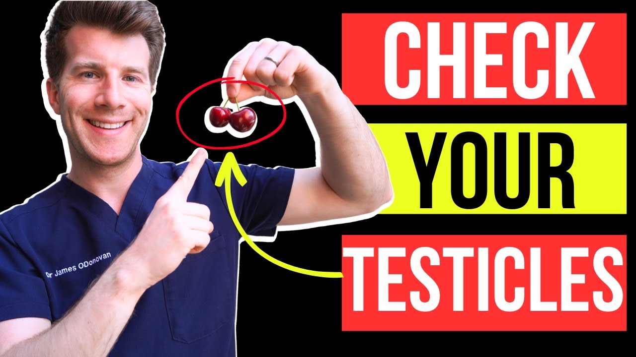 Doctor explains HOW TO EXAMINE YOUR OWN TESTICLES
