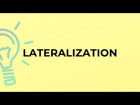 What is the meaning of the word LATERALIZATION?