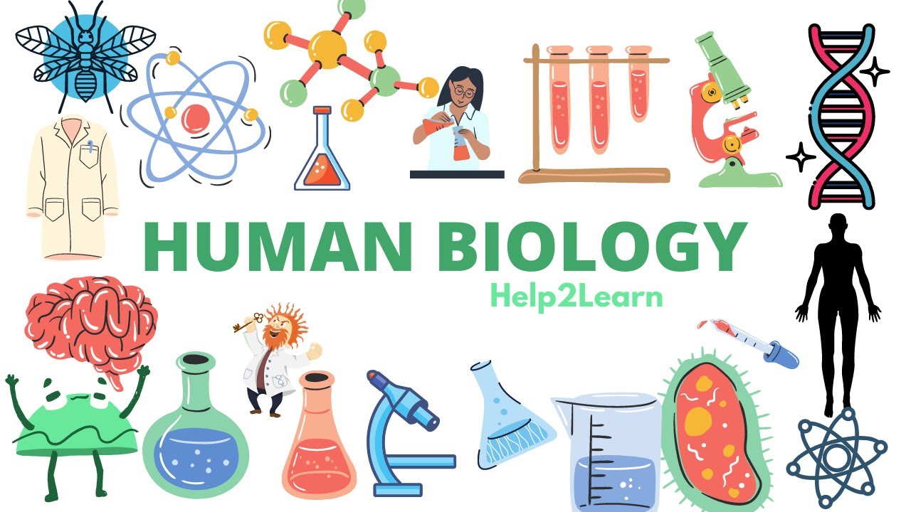 Quiz 4 - Bacteria and Viruses 🦠