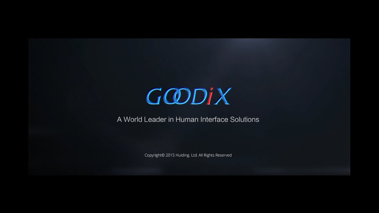 goodix introduction
