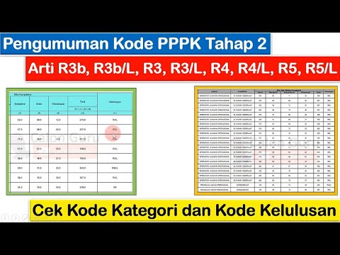 Cek Kode Kategori dan Kode Kelulusan PPPK Tahap 2 ~ Arti R3b, R3b/L, R3, R3/L, R4, R4/L, R5, R5/L