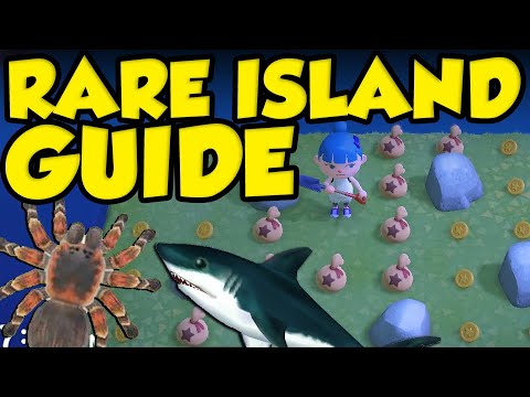 ANIMAL CROSSING RARE ISLAND GUIDE! How To Get Tarantula Island, Bell Island, and Shark Island!