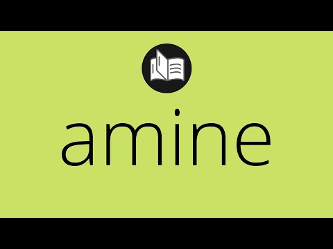 What AMINE means • Meaning of AMINE • amine MEANING • amine DEFINITION