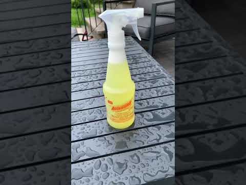 LA’s totally awesome cleaner