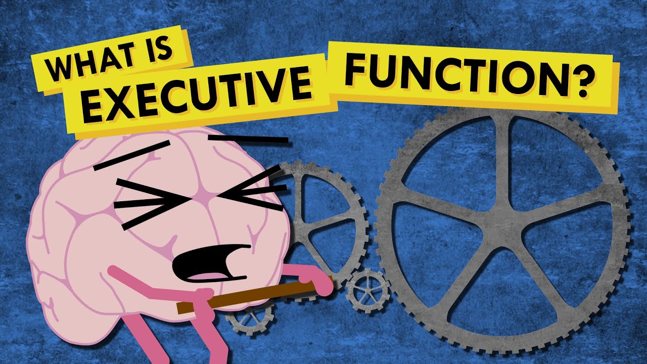 What Is Executive And Its Functions EN General