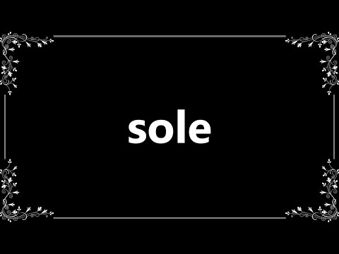 Sole - Definition and How To Pronounce