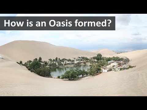 How is an Oasis formed | Geography terms for UPSC, IAS, CDS, NDA, SSC CGL