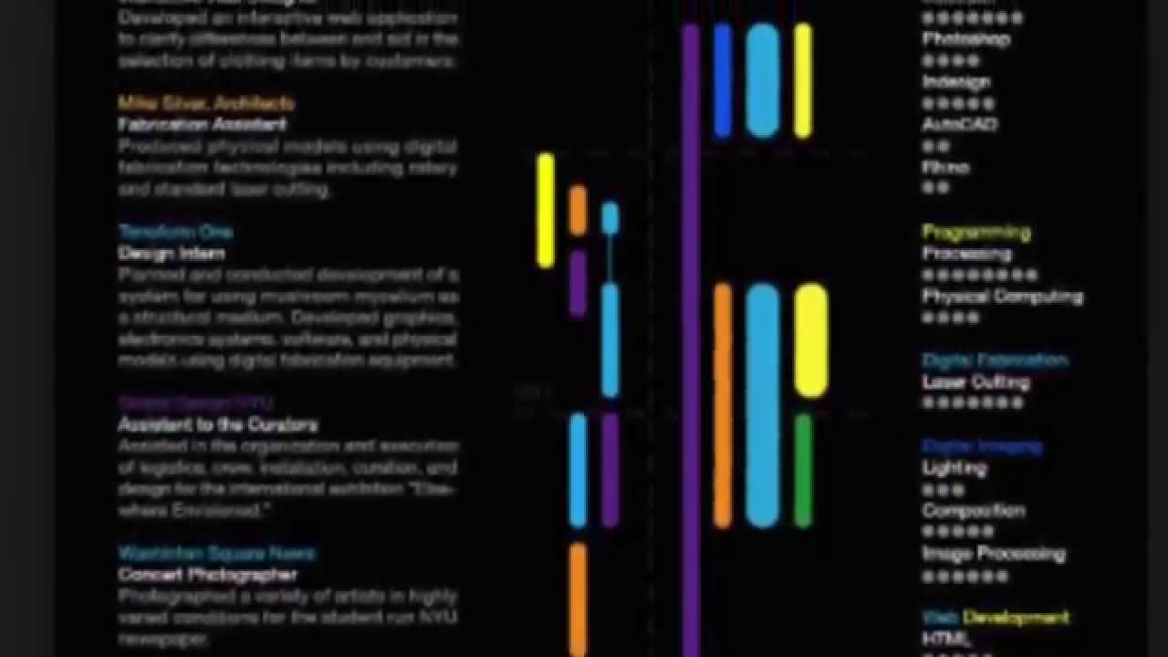 Info Graphic Resumes
