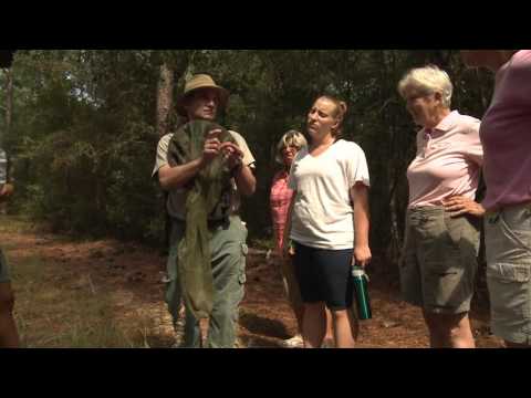 SCDNR's field day at Wateree Heritage Preserve WMA