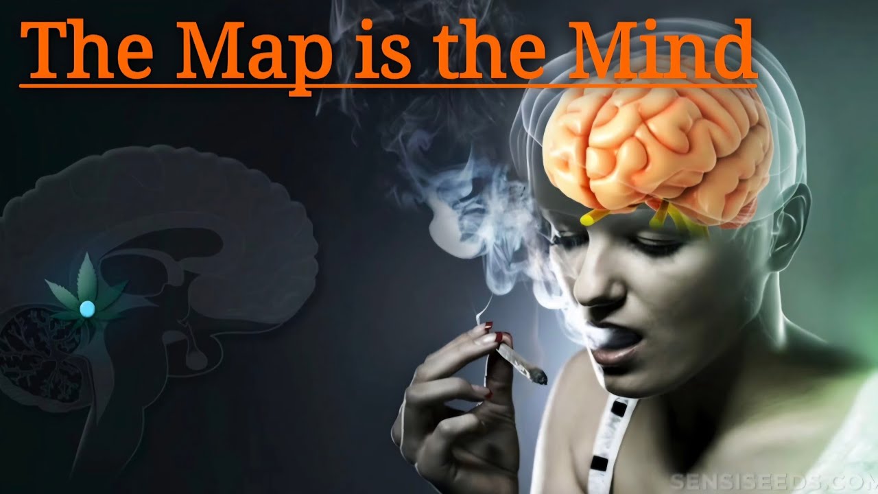 The Map is the Mind #awareness #ancientmaps #pinelgland #humanbrain #consciousness #observer #PTTP 