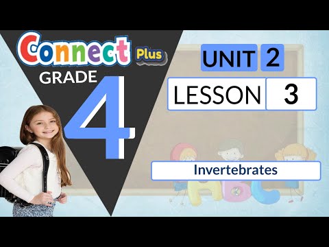 Connect plus 4 unit 2 lesson 3: English ESL video lessons