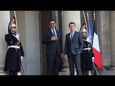 What do you know about Niger's President Mohamed Bazoum