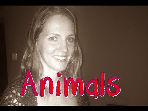 Norwegian Vocabulary: Animals, Nouns