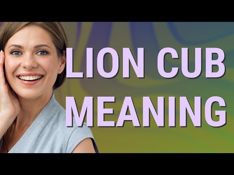 Lion cub | meaning of Lion cub