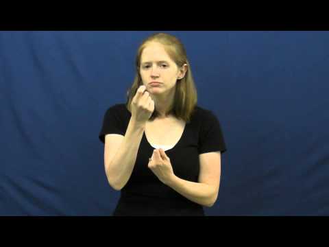 American Sign Language ASL Video Dictionary - care to