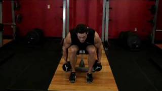 Voador inverso sentado c/ halter | Catálogo de Exercícios | Movimente.me