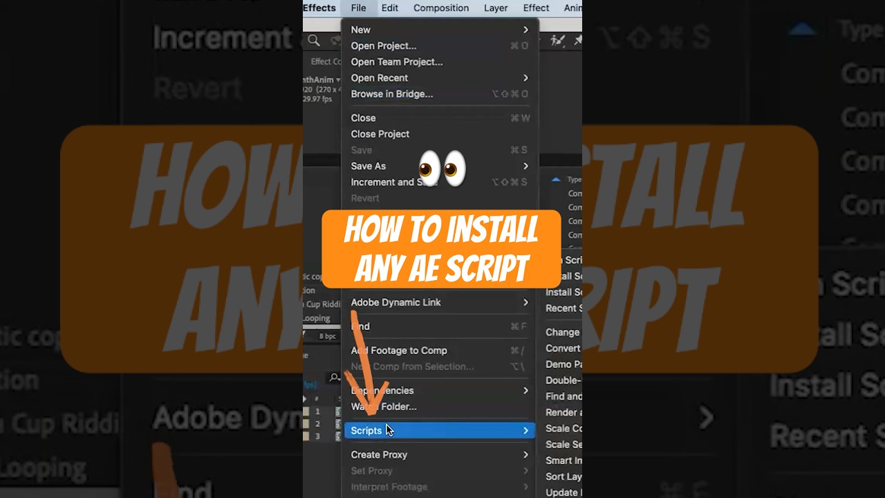 After Effects Scripts: How To Install #shorts