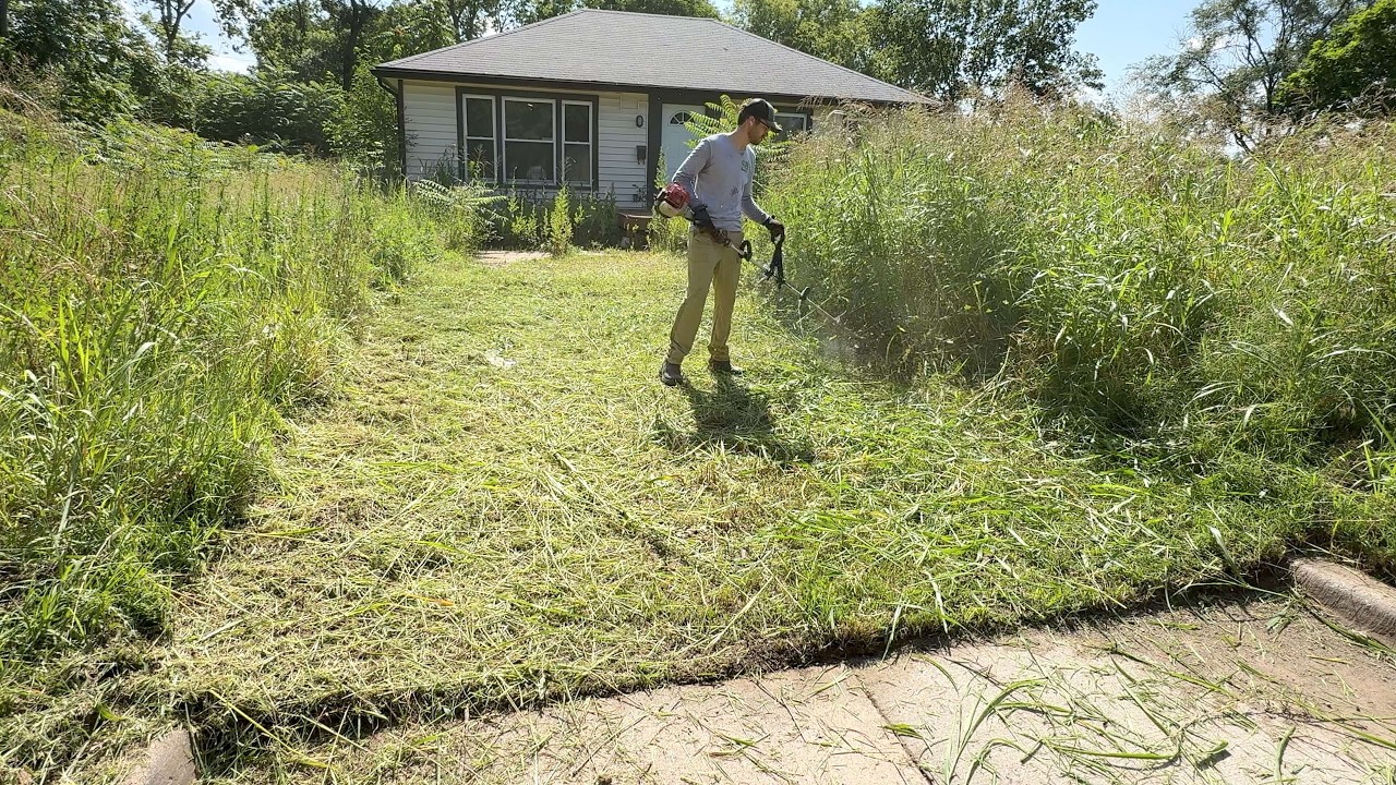 Neighbors STOP to take PICTURES of the grass TOWERING over this mysterious house