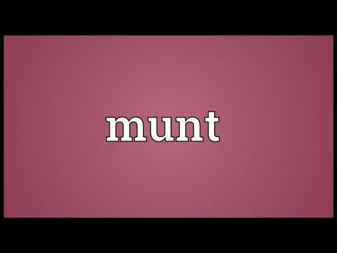 Munt Meaning