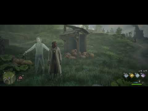 Steam Community :: Video :: Hogwarts Legacy - Ghost doing T-pose