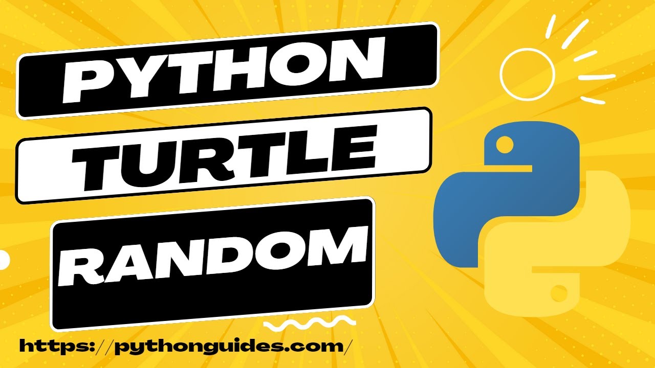 How to create random function | Python Turtle Random
