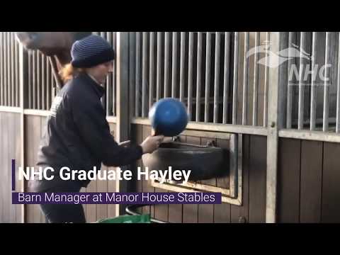 NHC Graduate Hayley enjoying her role as Barn Manager at Manor House Stables (Tom Dascombe Racing)