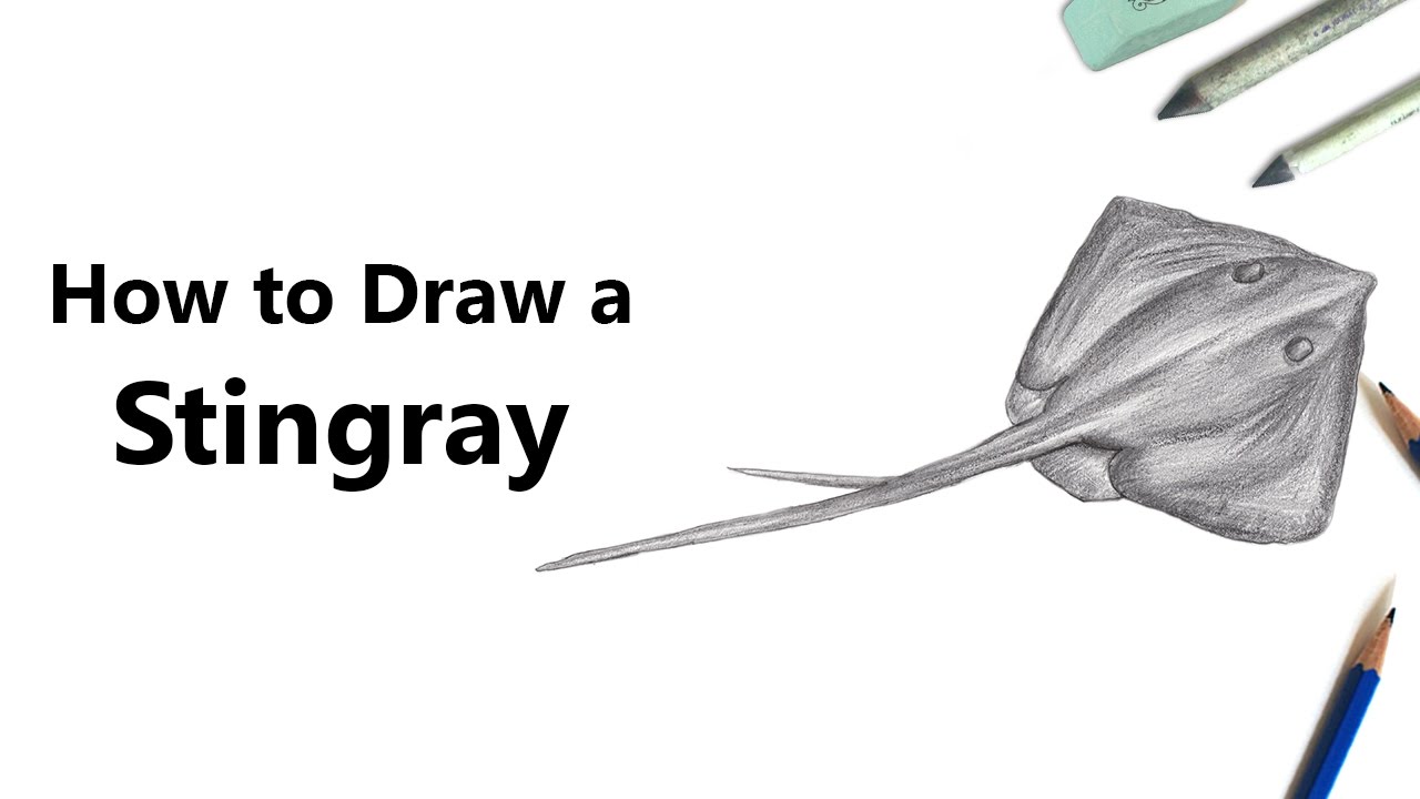 How to Draw a Stingray with Pencils [Time Lapse]