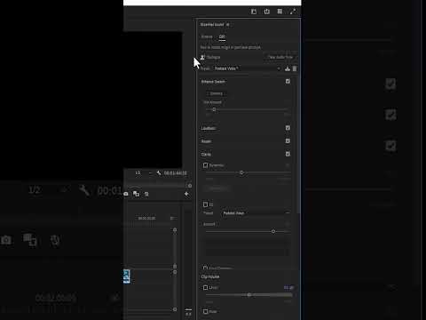 HOW TO INCREASE AUDIO QUALITY IN PREMIERE PRO