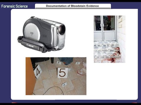 Documentation of Bloodstain Evidence