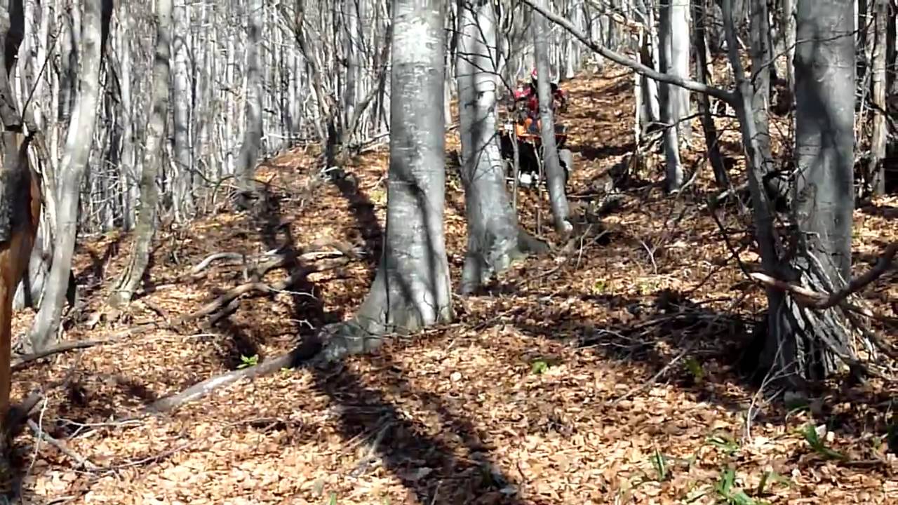 20091122 133541