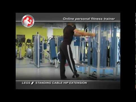 LEGS - STANDING CABLE HIP EXTENSION