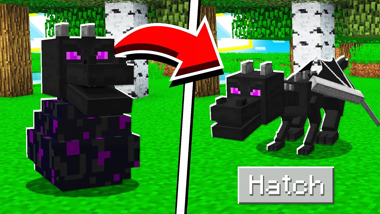 How to HATCH the ENDER DRAGON EGG in Minecraft Tutorial!