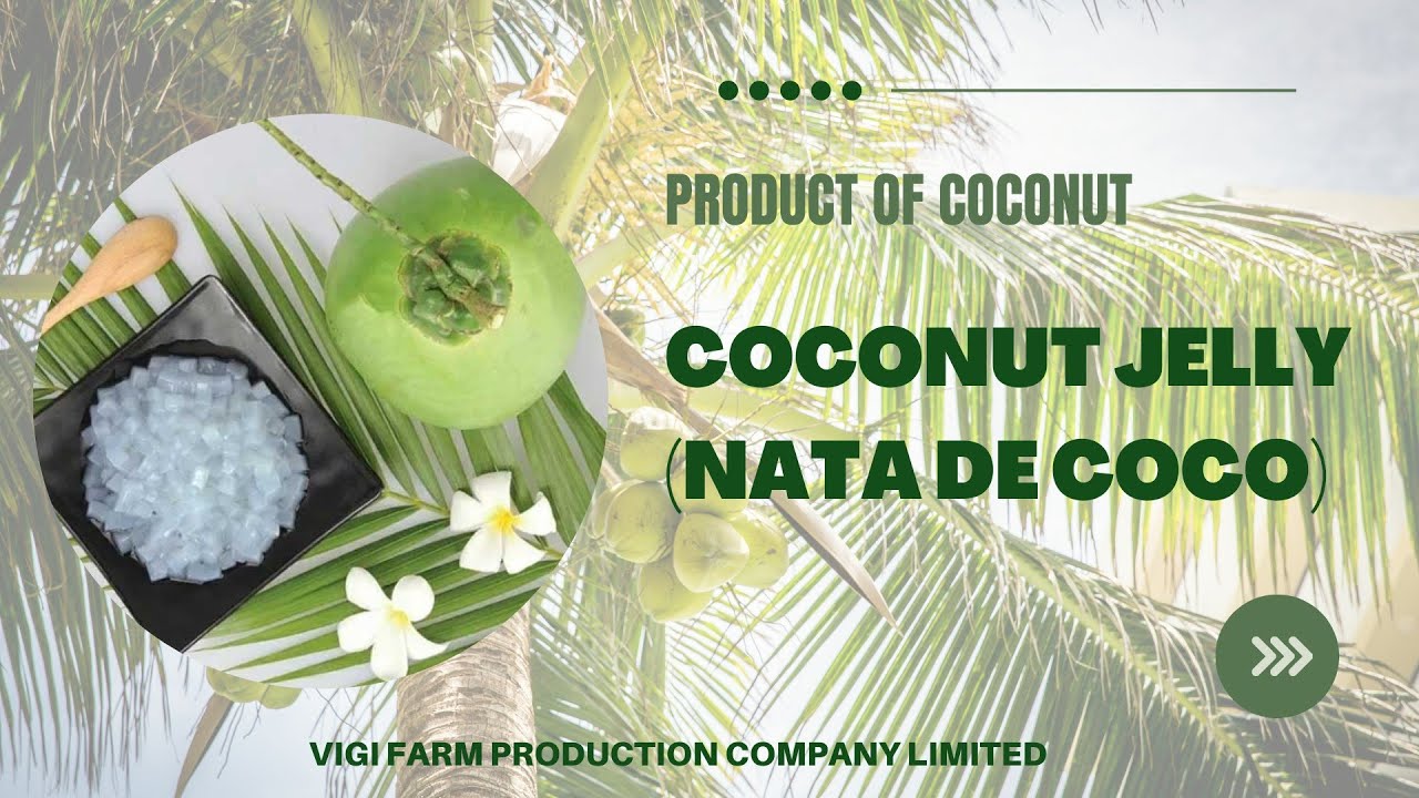 COCONUT JELLY/ NATA DE COCO - HIGH QUALITY PRODUCTS FROM COCONUT