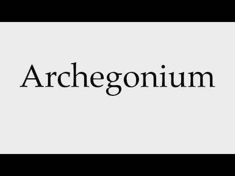How to Pronounce Archegonium