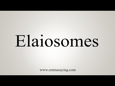 How To Say Elaiosomes