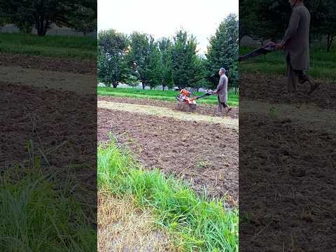 Agriculture Mini Machine ???? #tillermachine #tiller_video