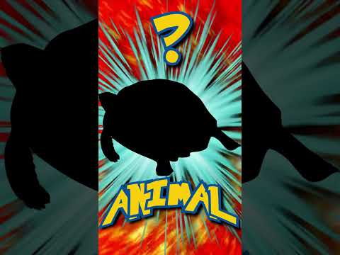 Who's That ANIMAL?! (ep. 79) #shorts #animals #quiz | Animal Fact Files