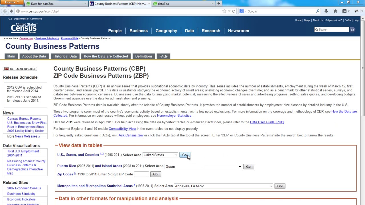 Using dataZoa with Business Patterns Data from the US Census