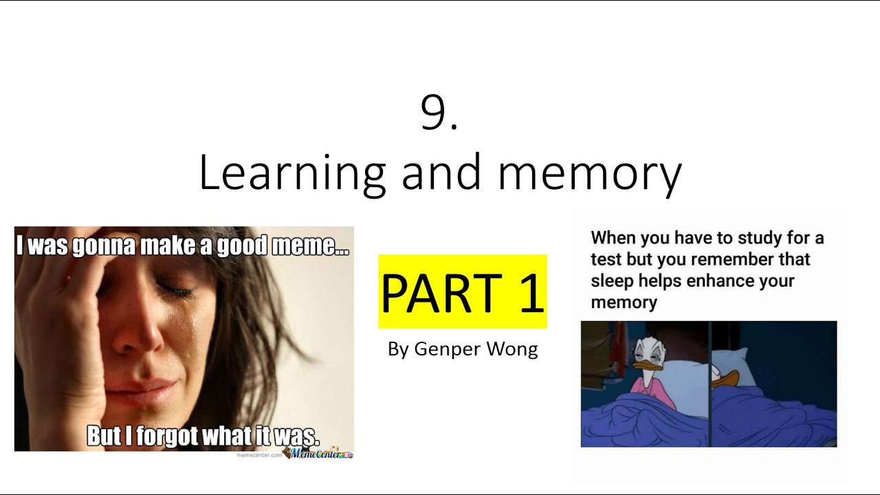 HKBB101 | 9 PART 1 | Learning and memory: theories
