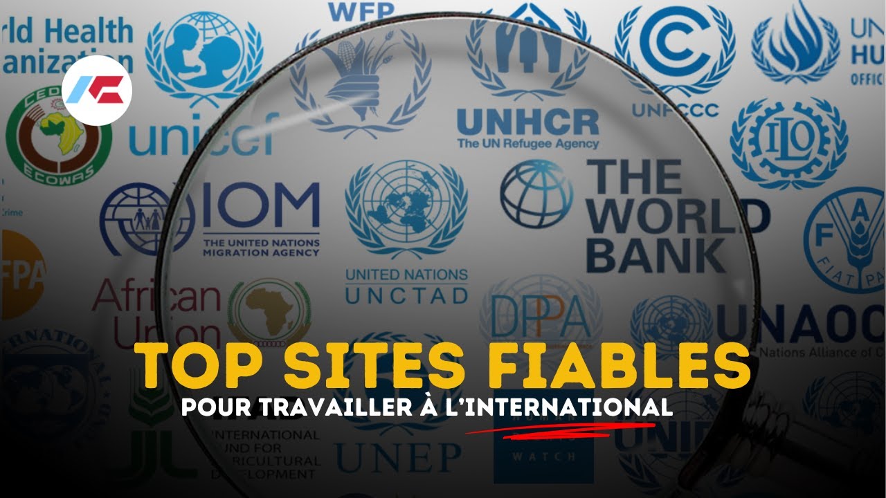 The Best Sites to Find a Job in an International Organization