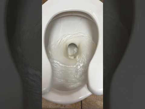 American Standard Madera Toilet At Dick’s Sporting Goods