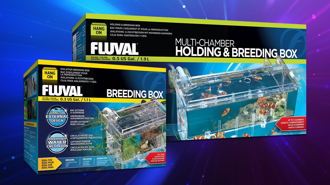 Hang-On Breeding Box - Fluval USA