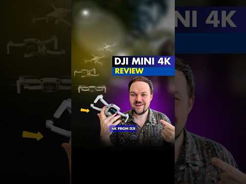 Perfect Beginner Drone? DJI Mini 4K Review