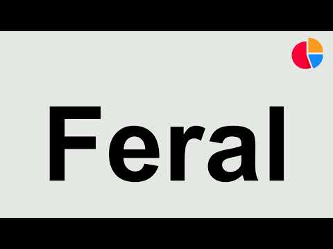 How to Pronounce "Feral"