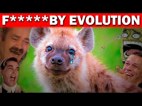 HYENAS - weird as hell